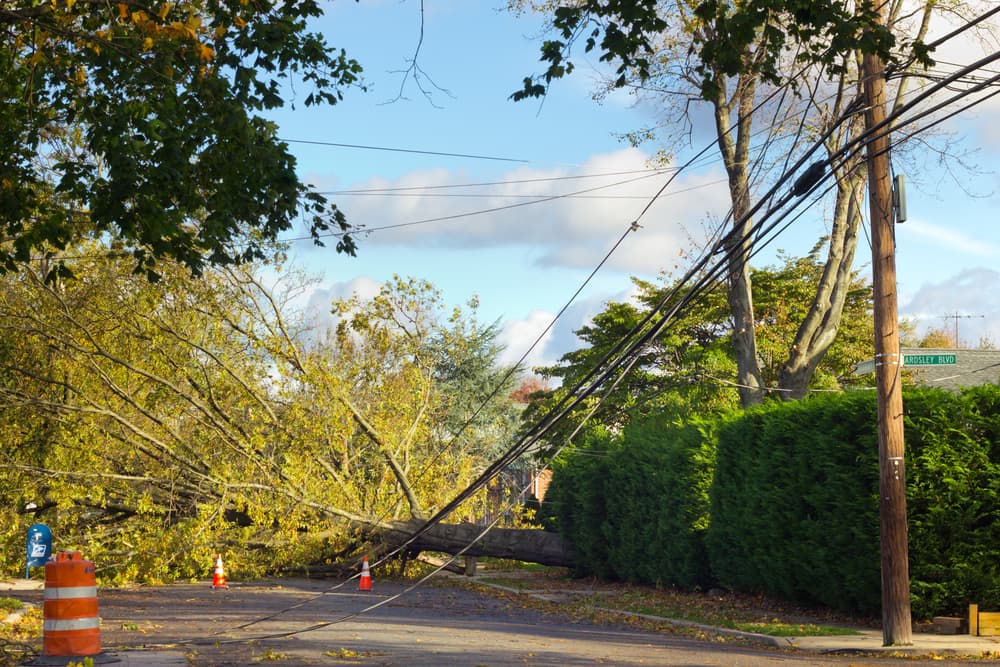 Storm Season Means Fallen Powerlines. Learn What to Do