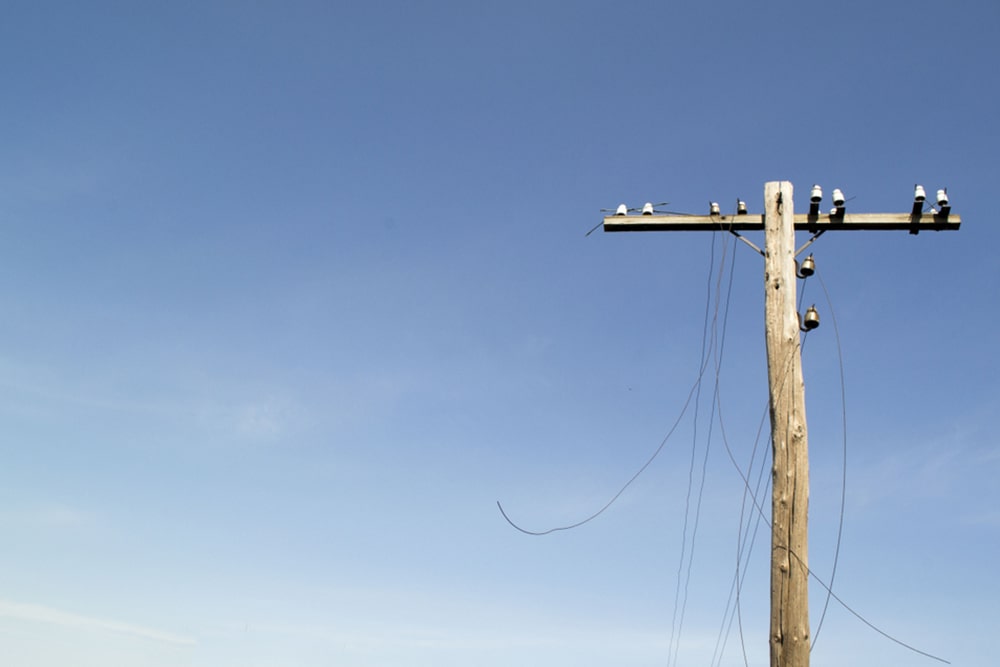 Storm Season Means Fallen Powerlines. Learn What to Do